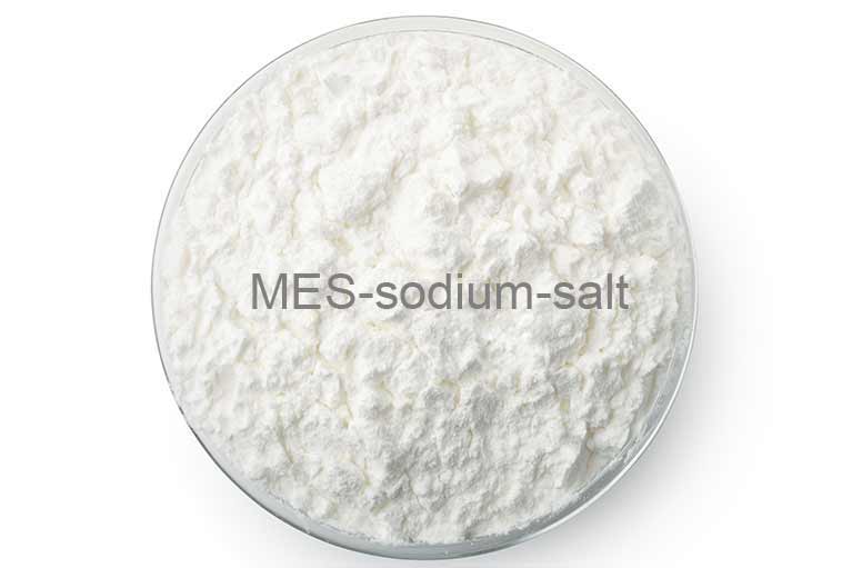 MES Sodium Salt | CAS 71119-23-8