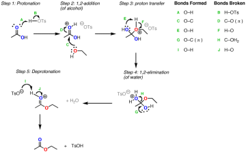 Mechanism of p-Toluenesulfonic acid - toluenesulfonicacid-ptbba